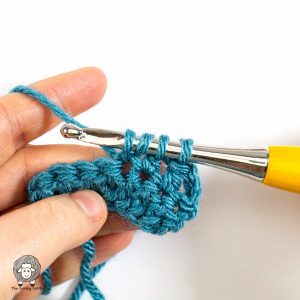 How to do a Double Crochet Decrease or DC2TOG - The Loopy Lamb