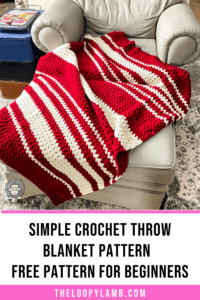 Simple Crochet Throw Blanket Pattern - Free Pattern for Beginners